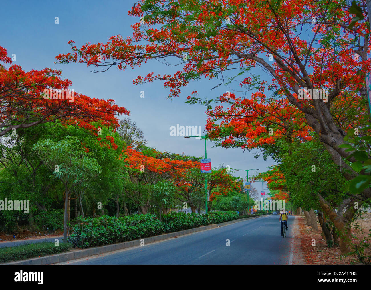 Whitefield bangalore hi-res stock photography and images - Alamy
