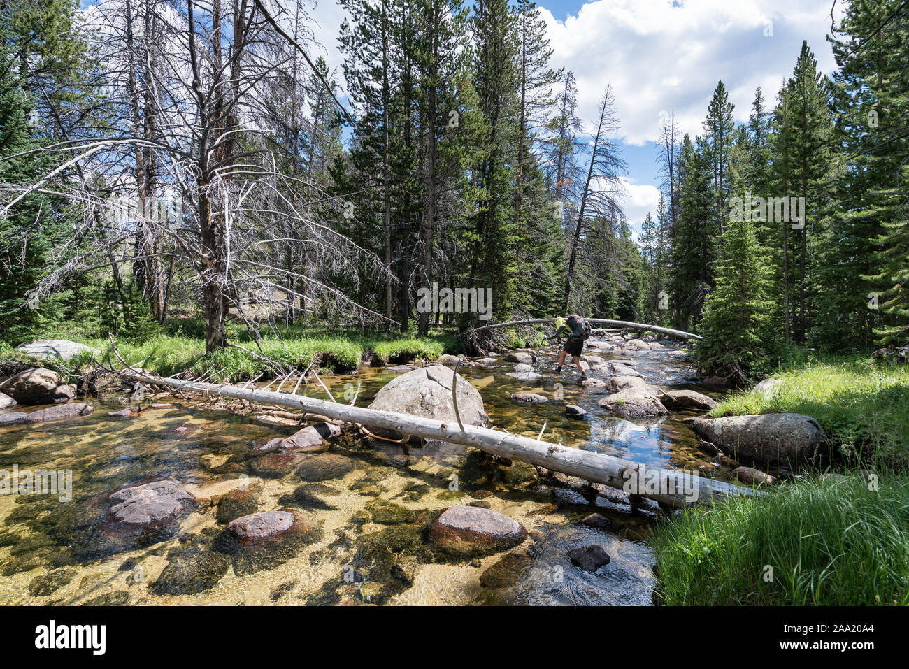 Hiking on the CDT in Wind River Range, Wyoming, USA Stock Photo - Alamy