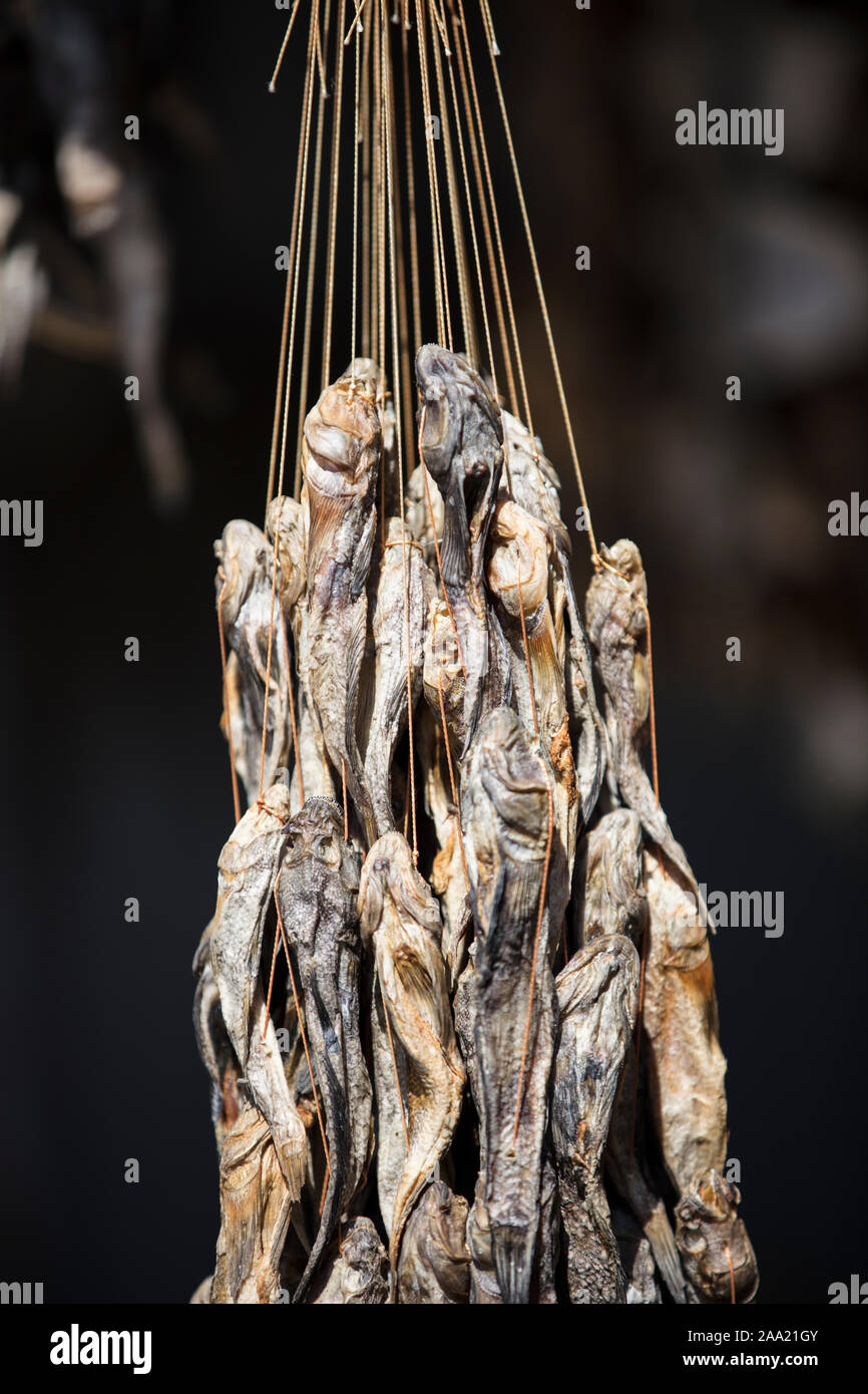 Overnight Dried Fish High Resolution Stock Photography and Images - Alamy