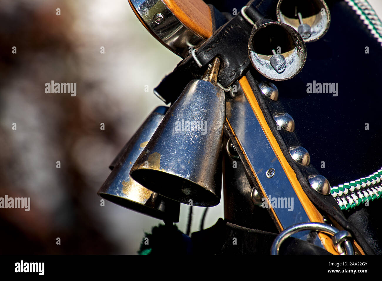 wooden horse harness with silver colored bells and rivets, close up ...