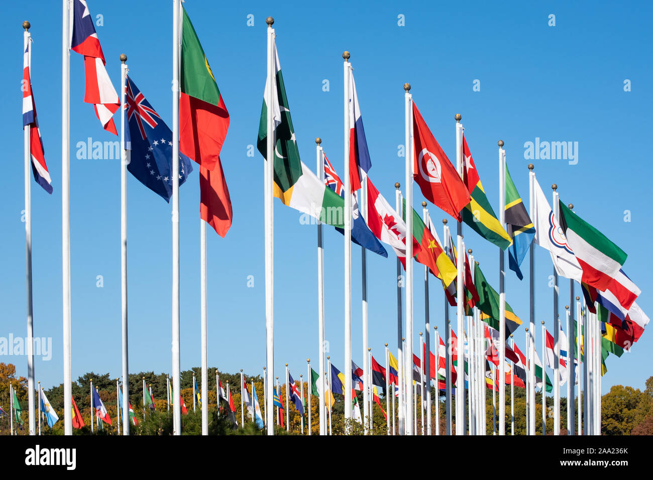 Flags of many states are fluttering on flagpoles Stock Photo - Alamy