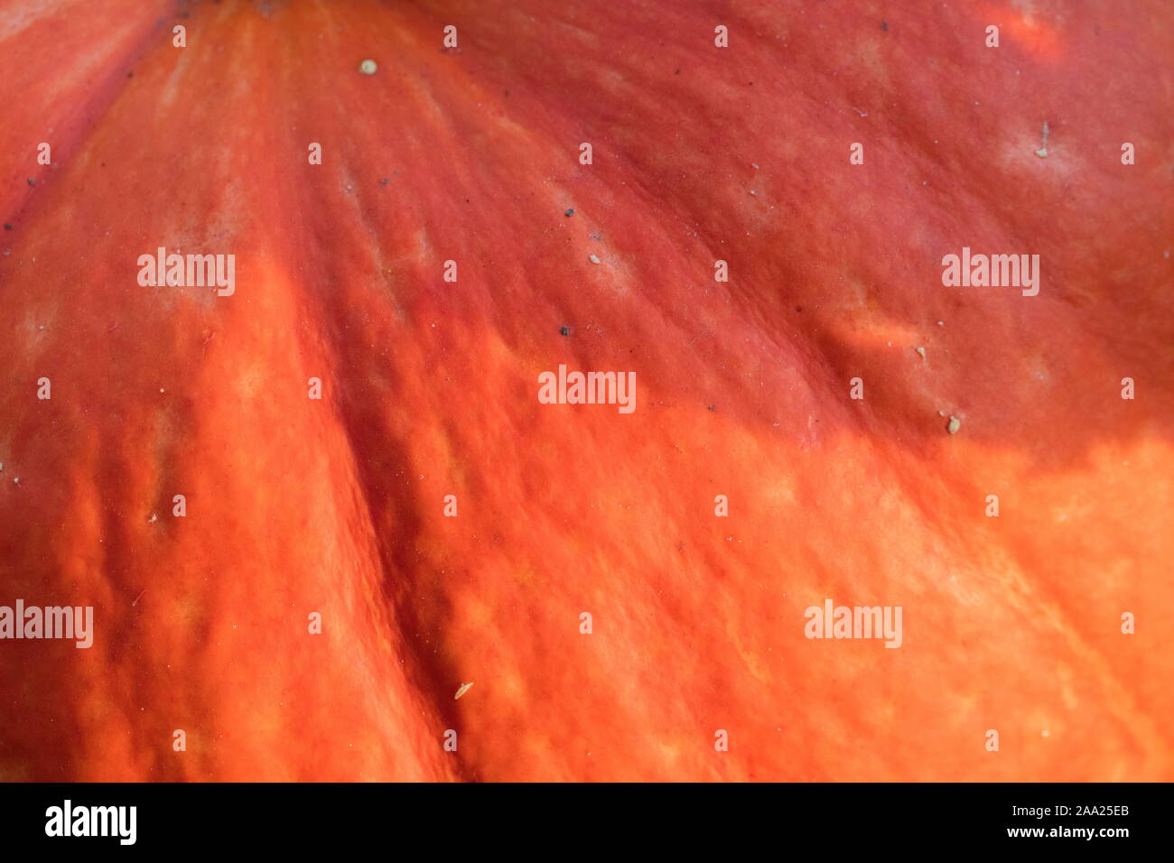 Fresh Paint Texture High Resolution Stock Photography and Images - Alamy