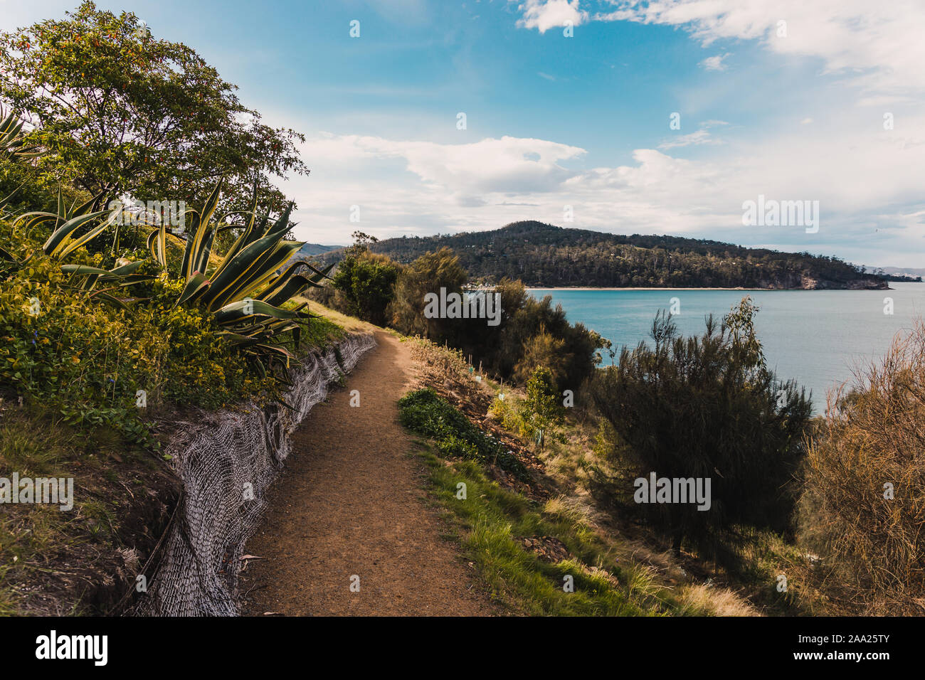 panoramic view of pristine Tasmania beach landscape in Australia with naitive vegetation and ...