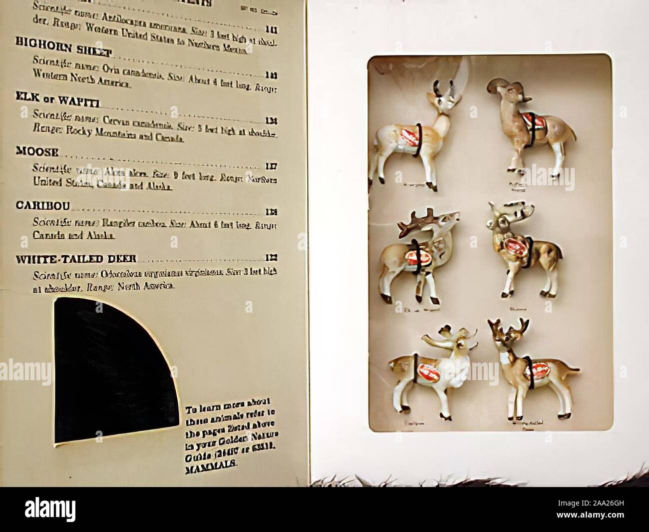 Vintage box collection of Japanese made bone china animal figures Stock ...