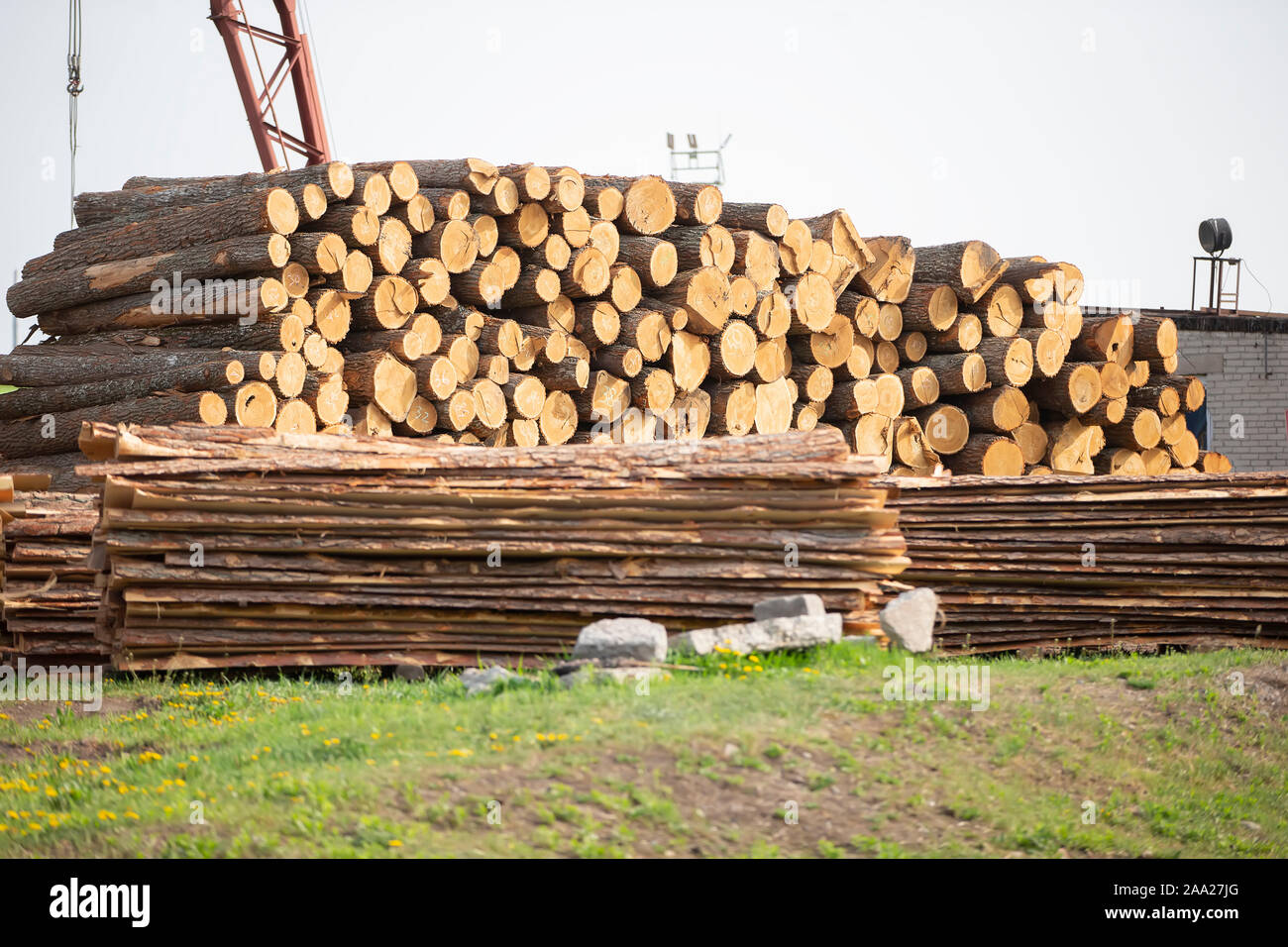 Woodworking plant. Wood processing industry Stock Photo - Alamy