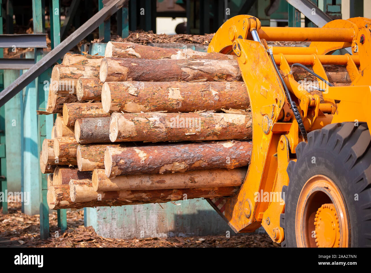 Wood processing industry. Loader with logs. Industrial wood processing ...