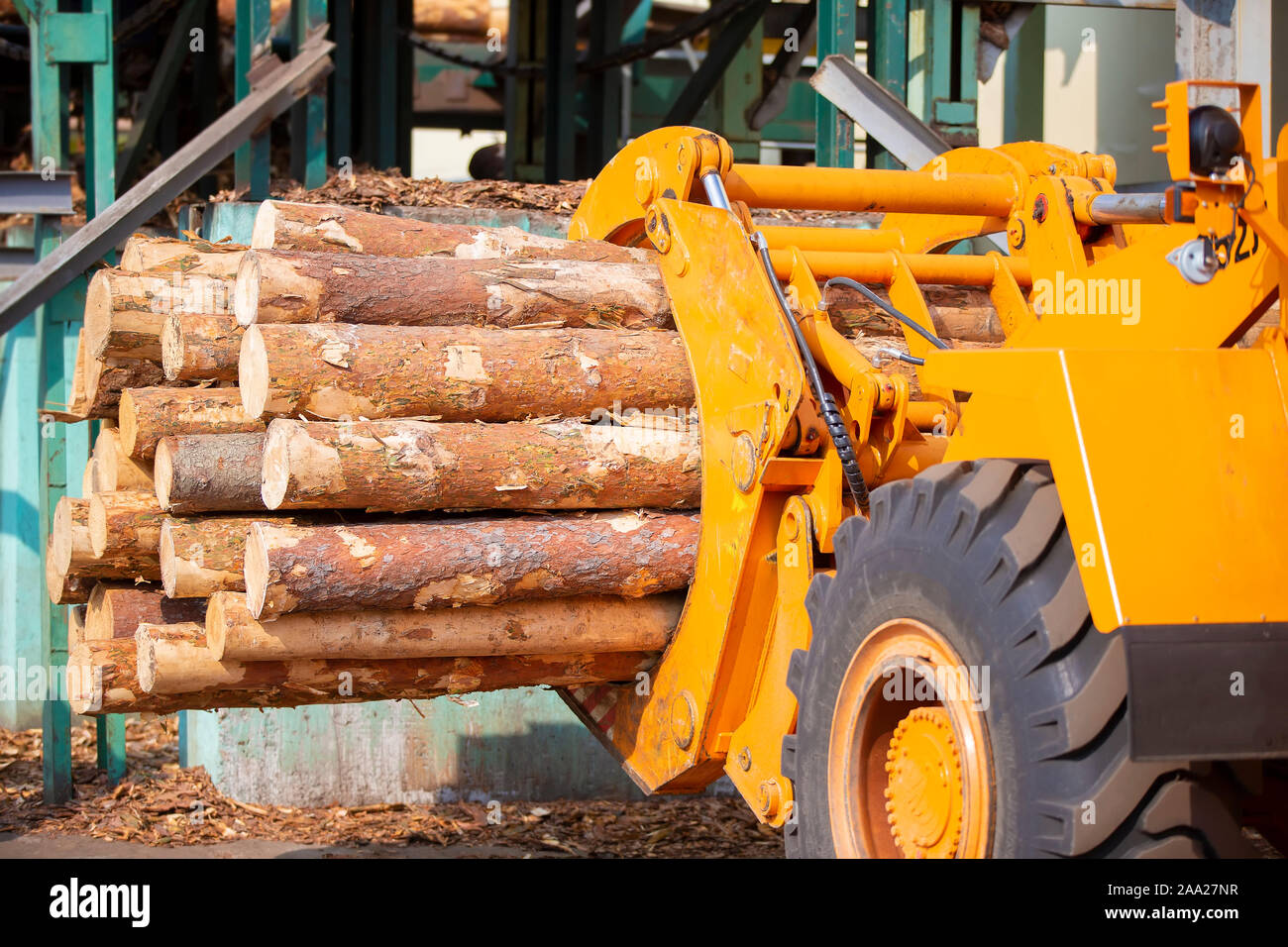 Wood processing industry. Loader with logs. Industrial wood processing ...