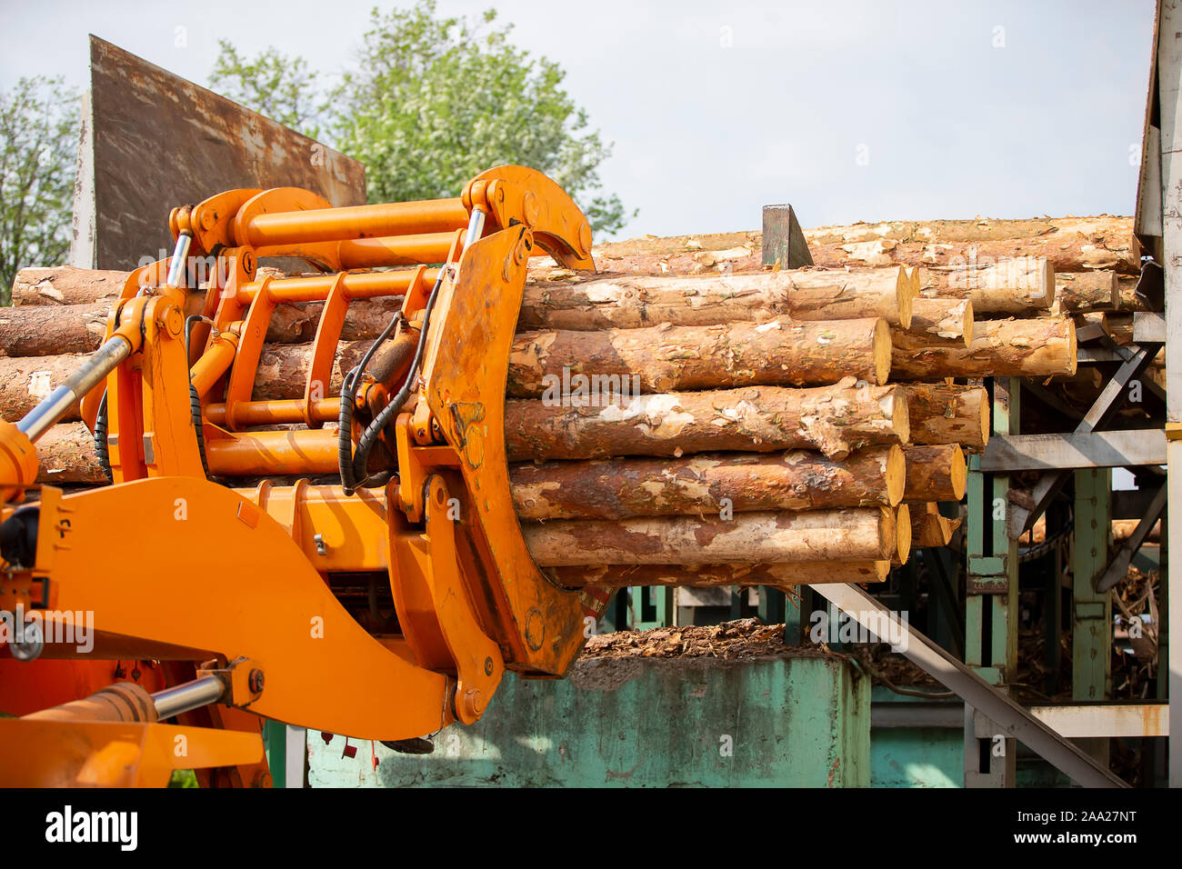 Wood processing industry. Loader with logs. Industrial wood processing ...
