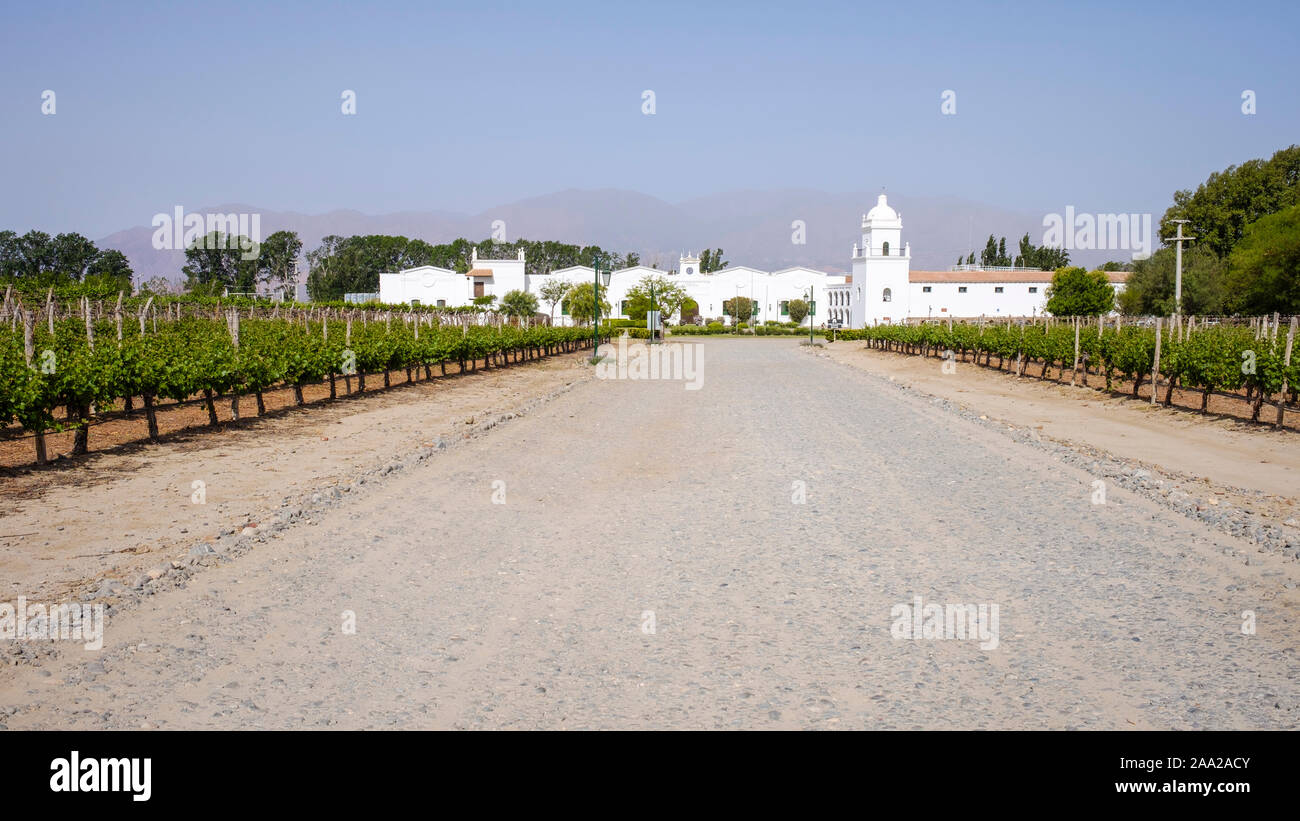 Cafayate vineyards, argentina hi-res stock photography and images - Alamy
