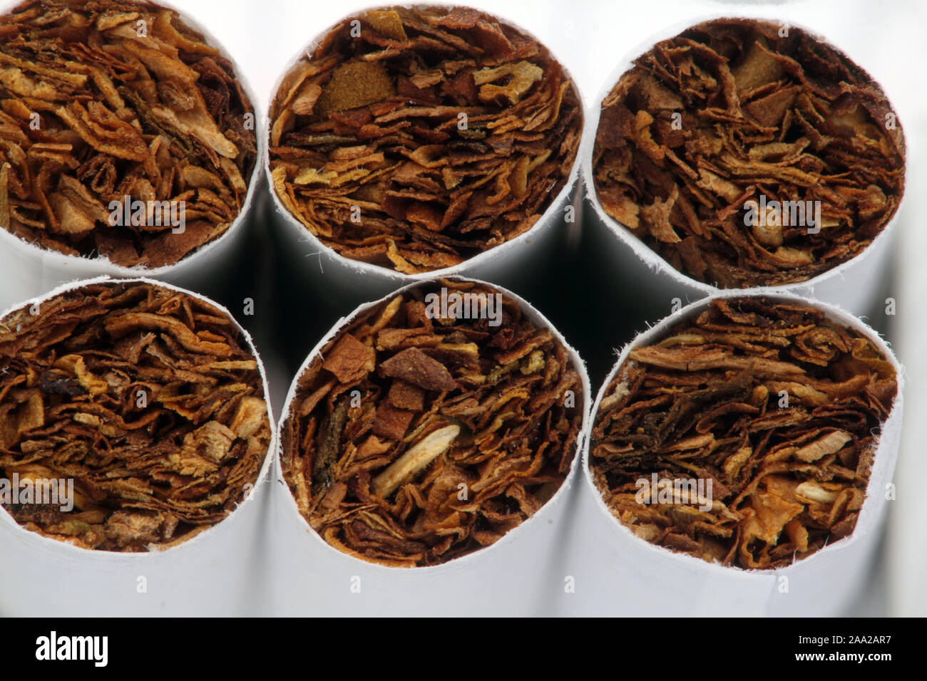 tobacco addiction - close up on the tip of the cigarette with tobacco ...