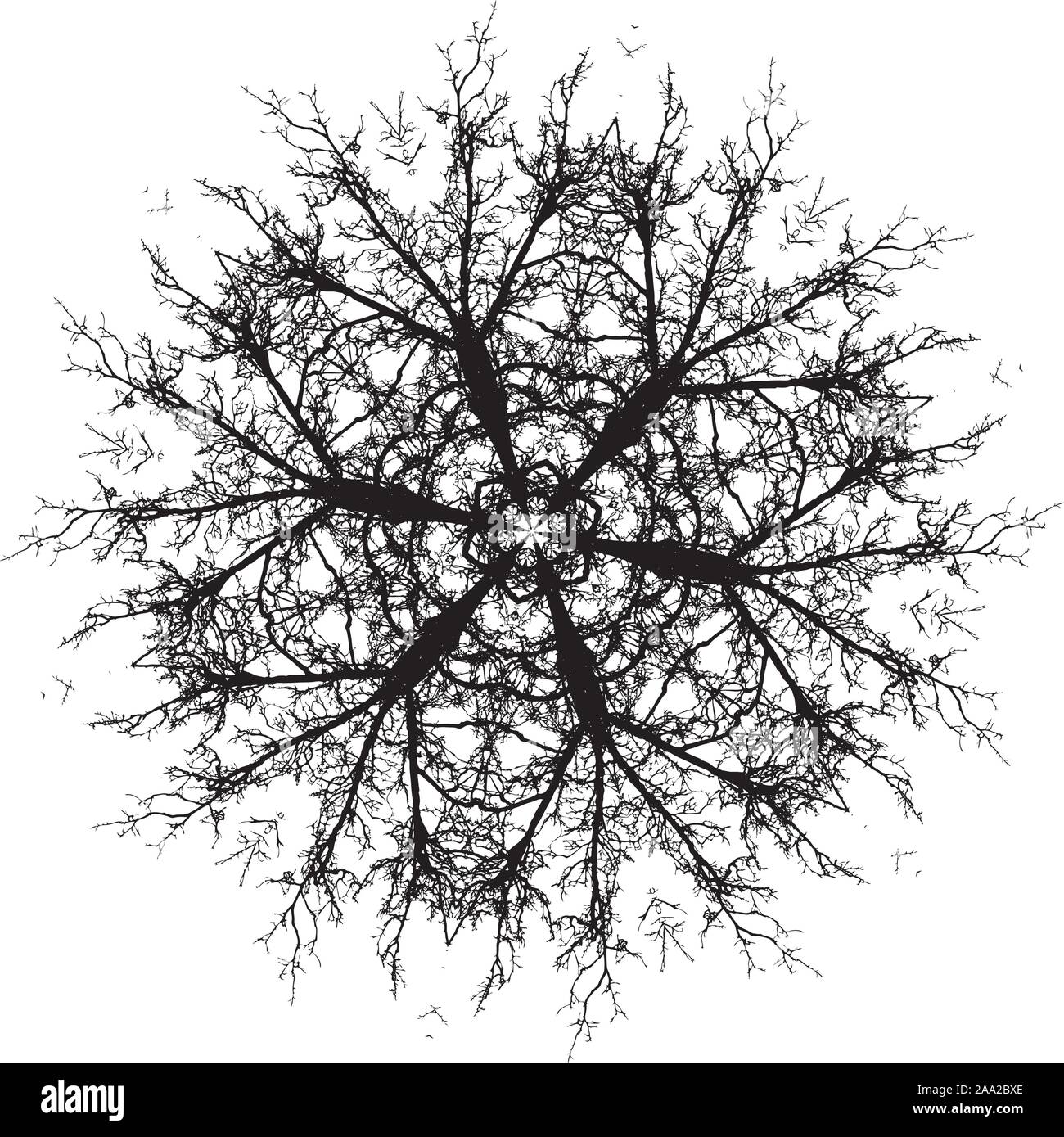 Grunge crooked tree branches without leaves silhouettes in round ...