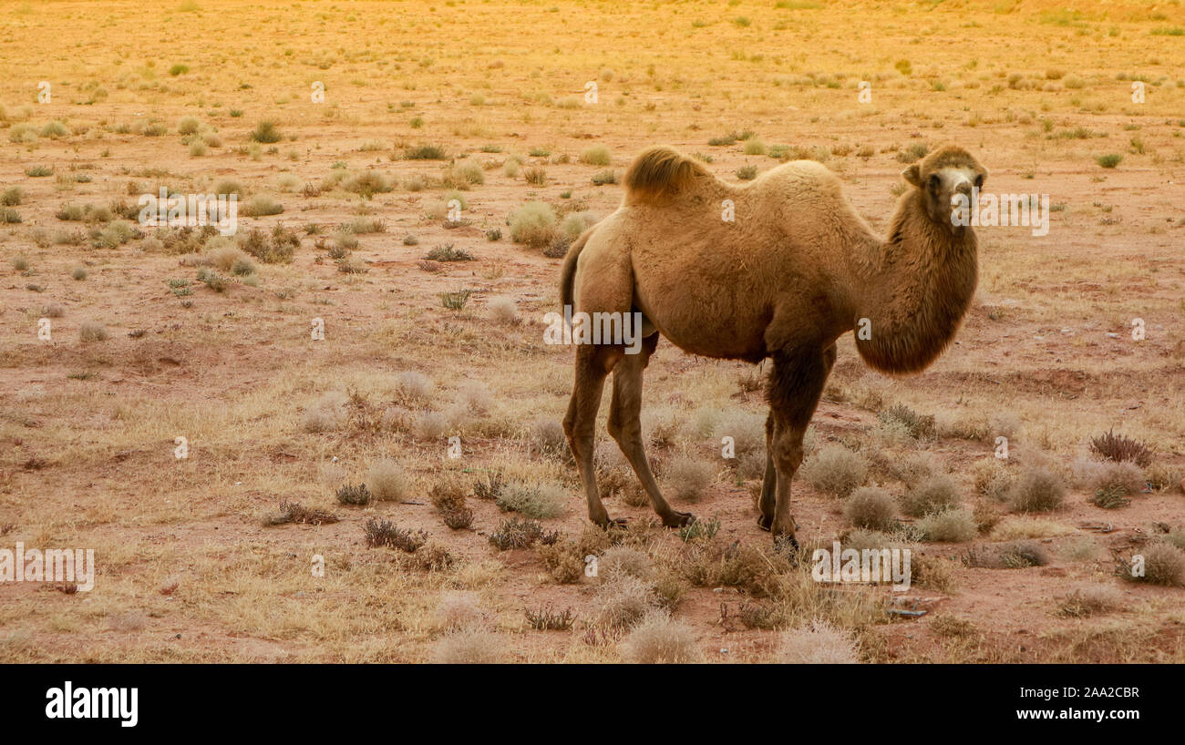 Tianshan tomur grand canyon hi-res stock photography and images - Alamy