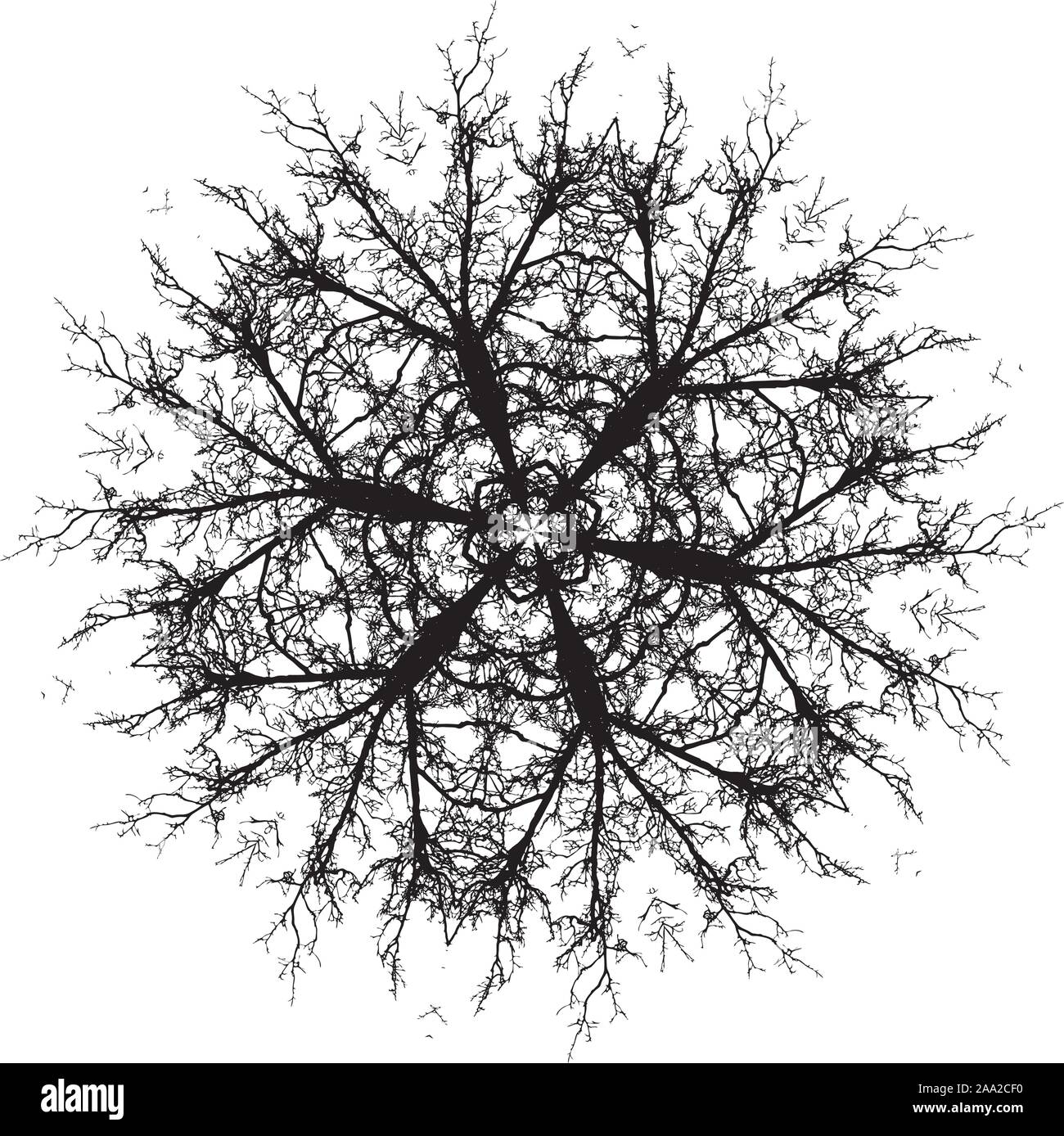 Tree without leaves vector hi-res stock photography and images - Alamy