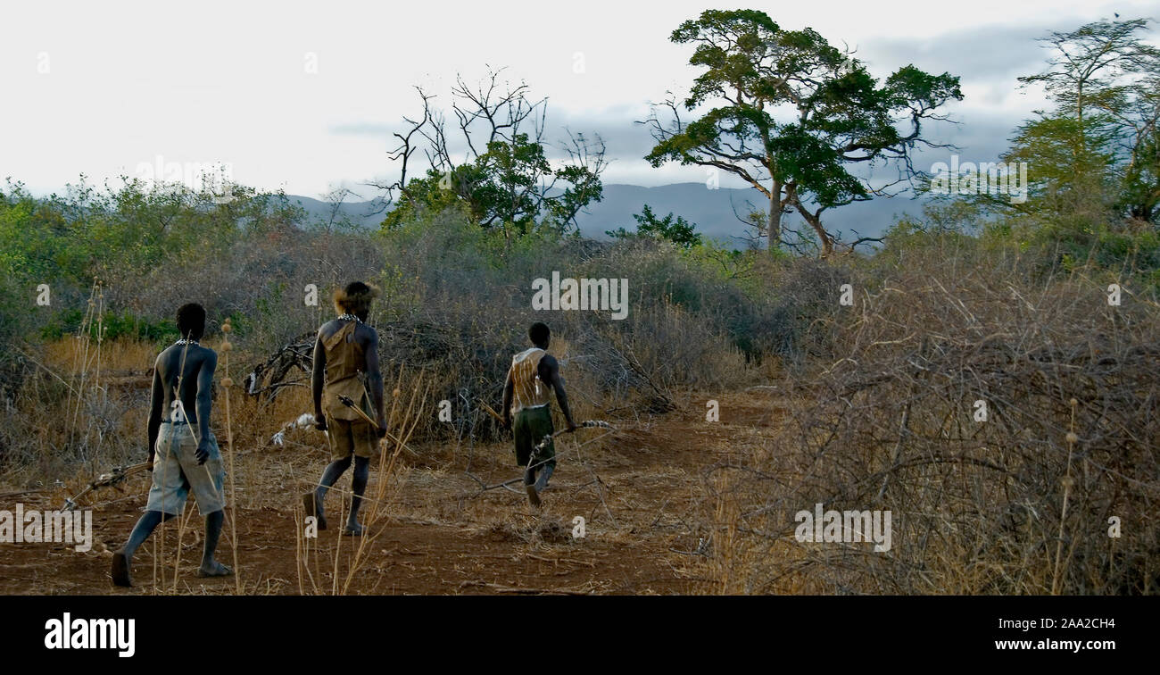 Hadzabe bushmen hunting. Lake Eyasi, northern Tanzania Stock Photo - Alamy