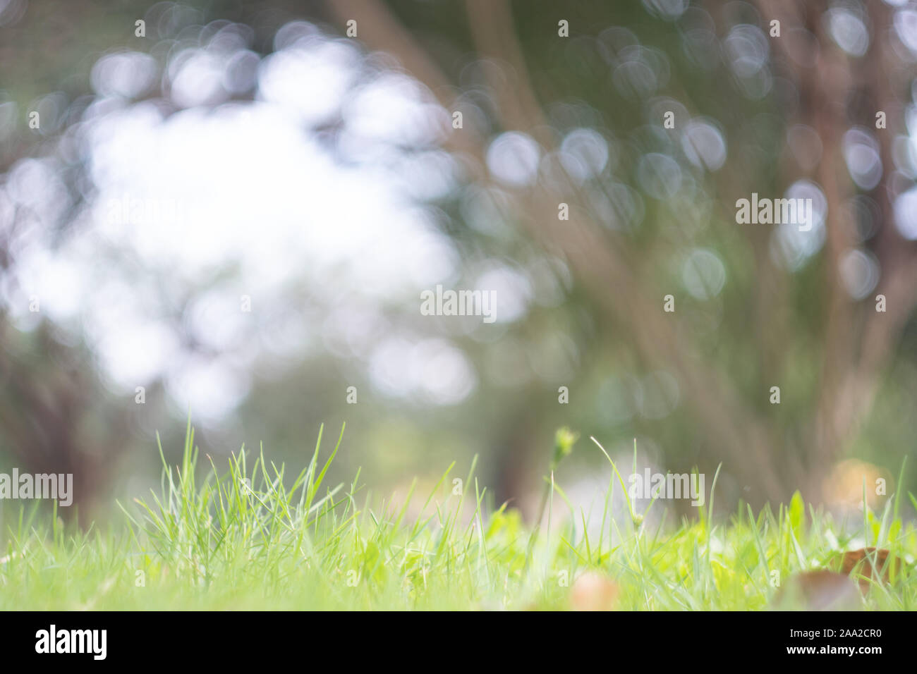 Abstract blur green exercise park in spring outdoor background concept ...