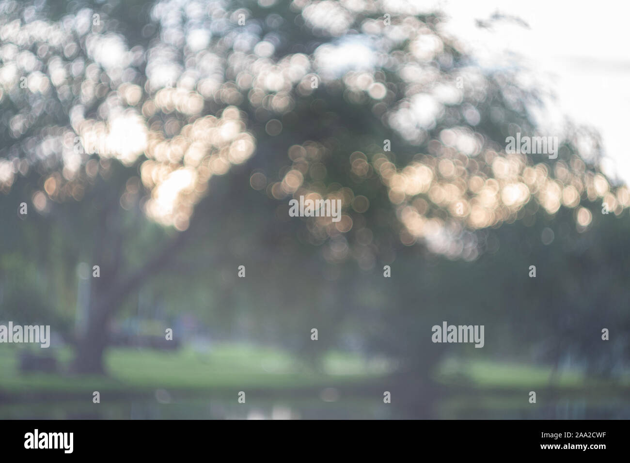 Abstract blur green exercise park in spring outdoor background concept ...