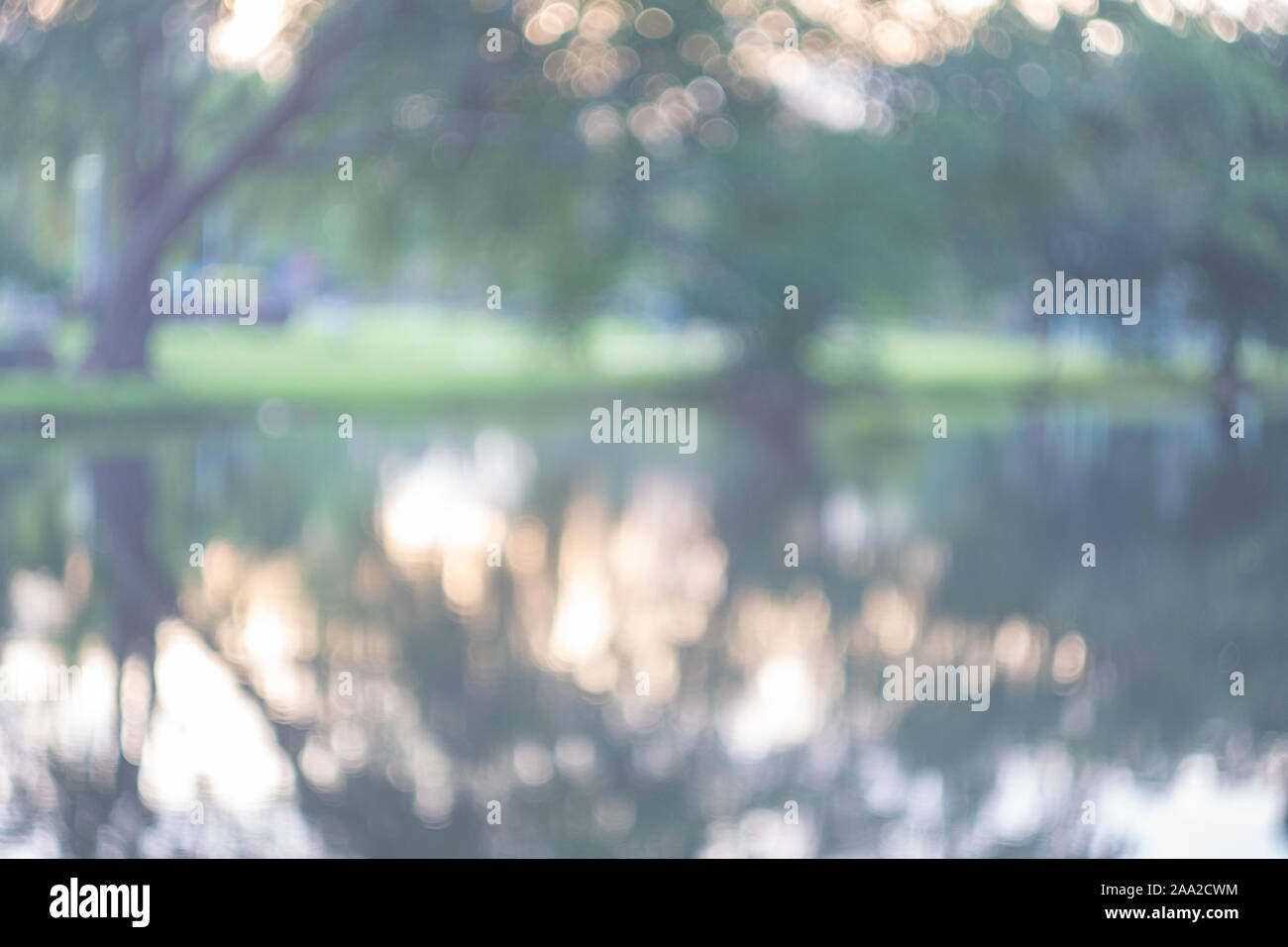 Abstract blur green exercise park in spring outdoor background concept ...