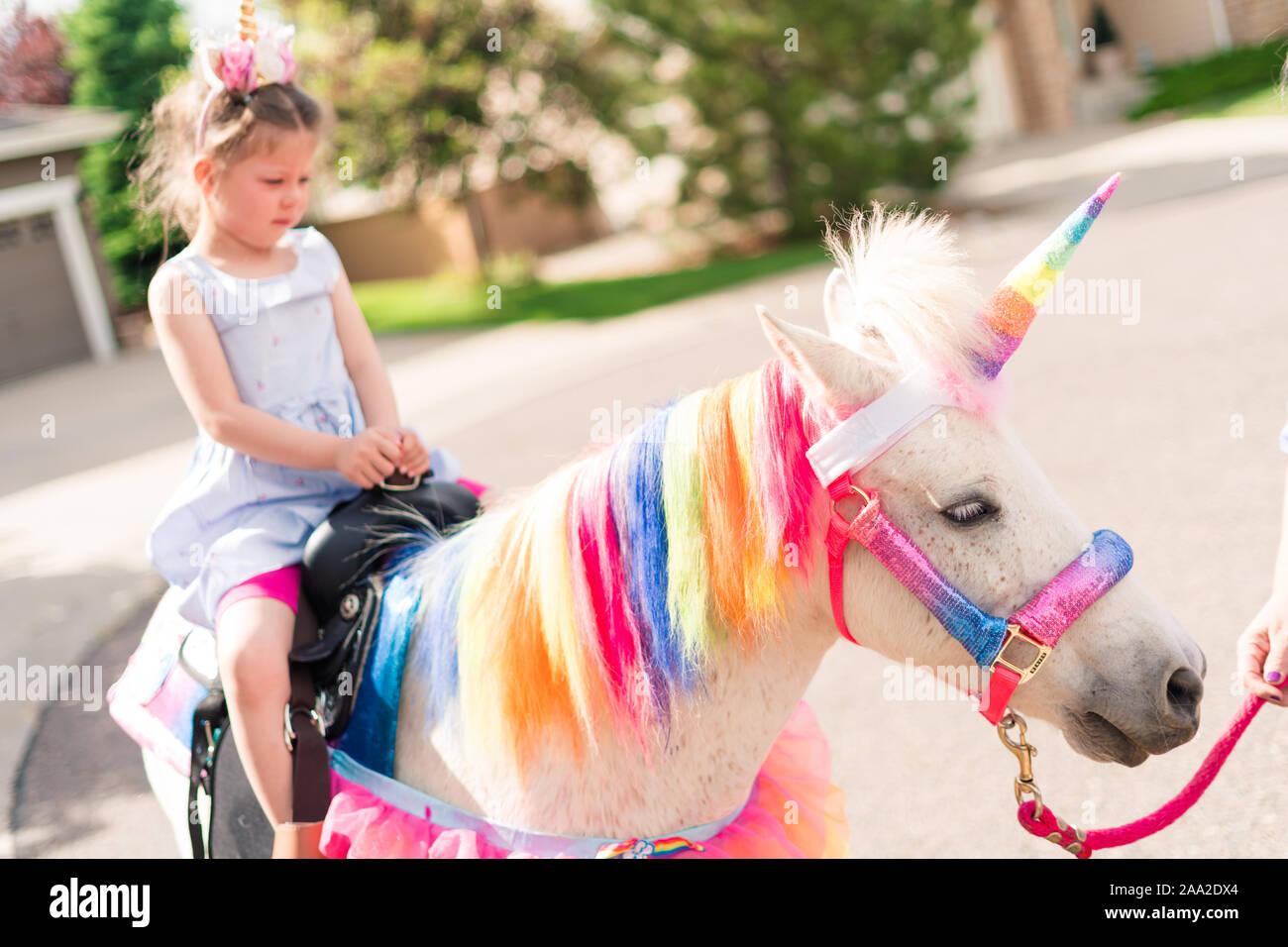 Little girl riding a unicorn at the little girl birthday party Stock ...
