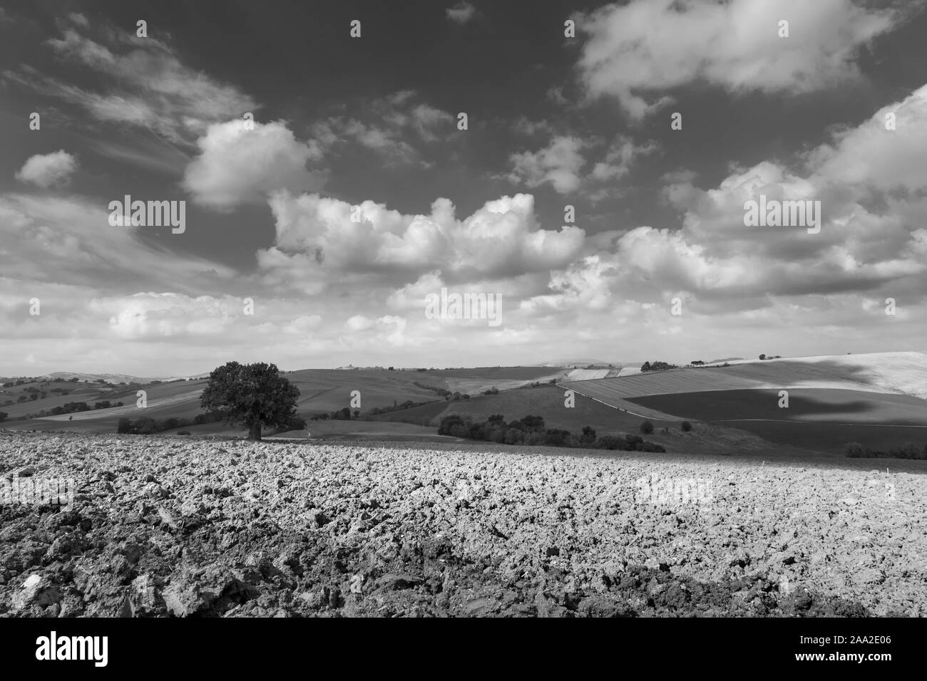 Rural landscape in black and white, fields and sky Stock Photo - Alamy