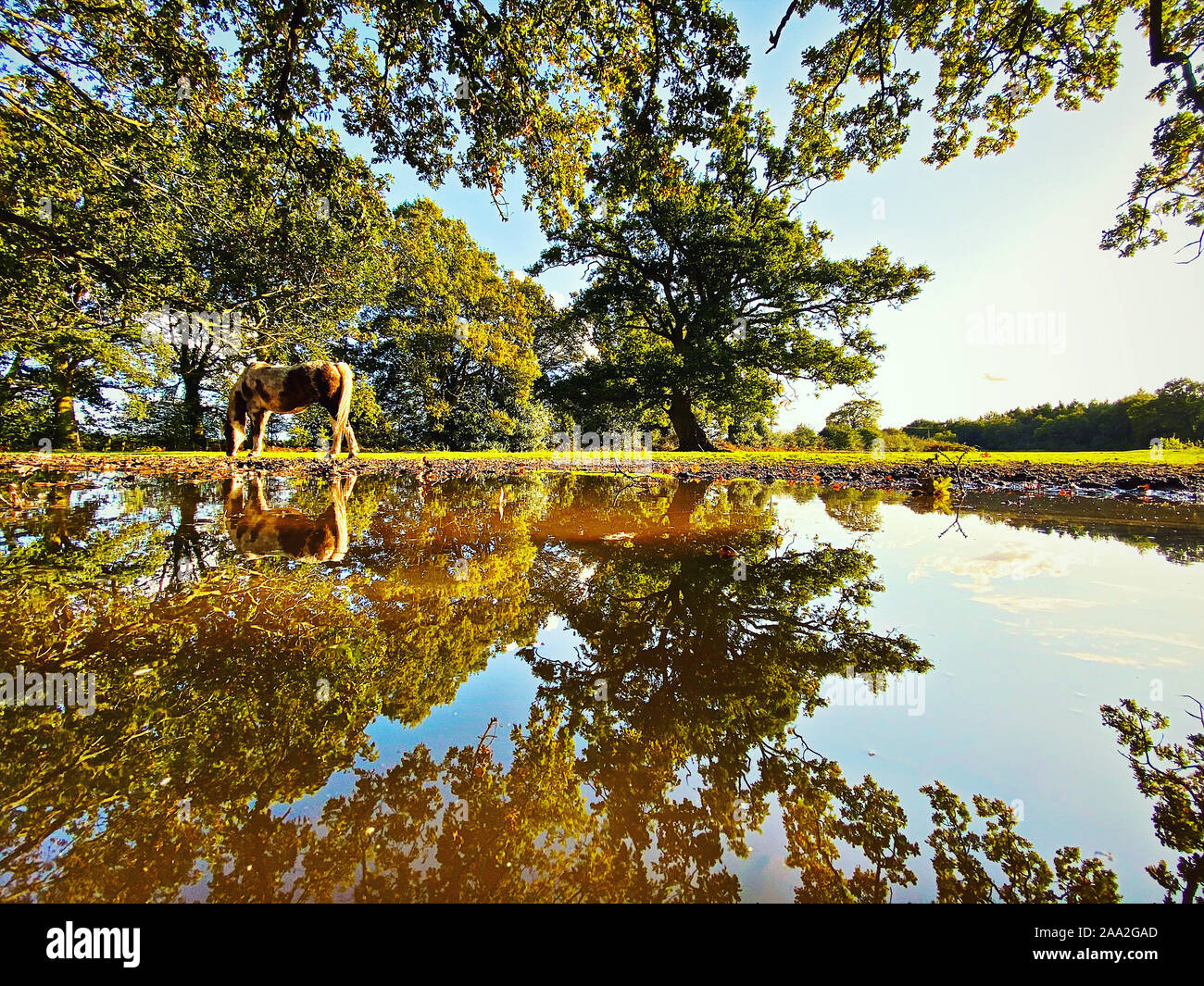 Swallowfield hi-res stock photography and images - Alamy