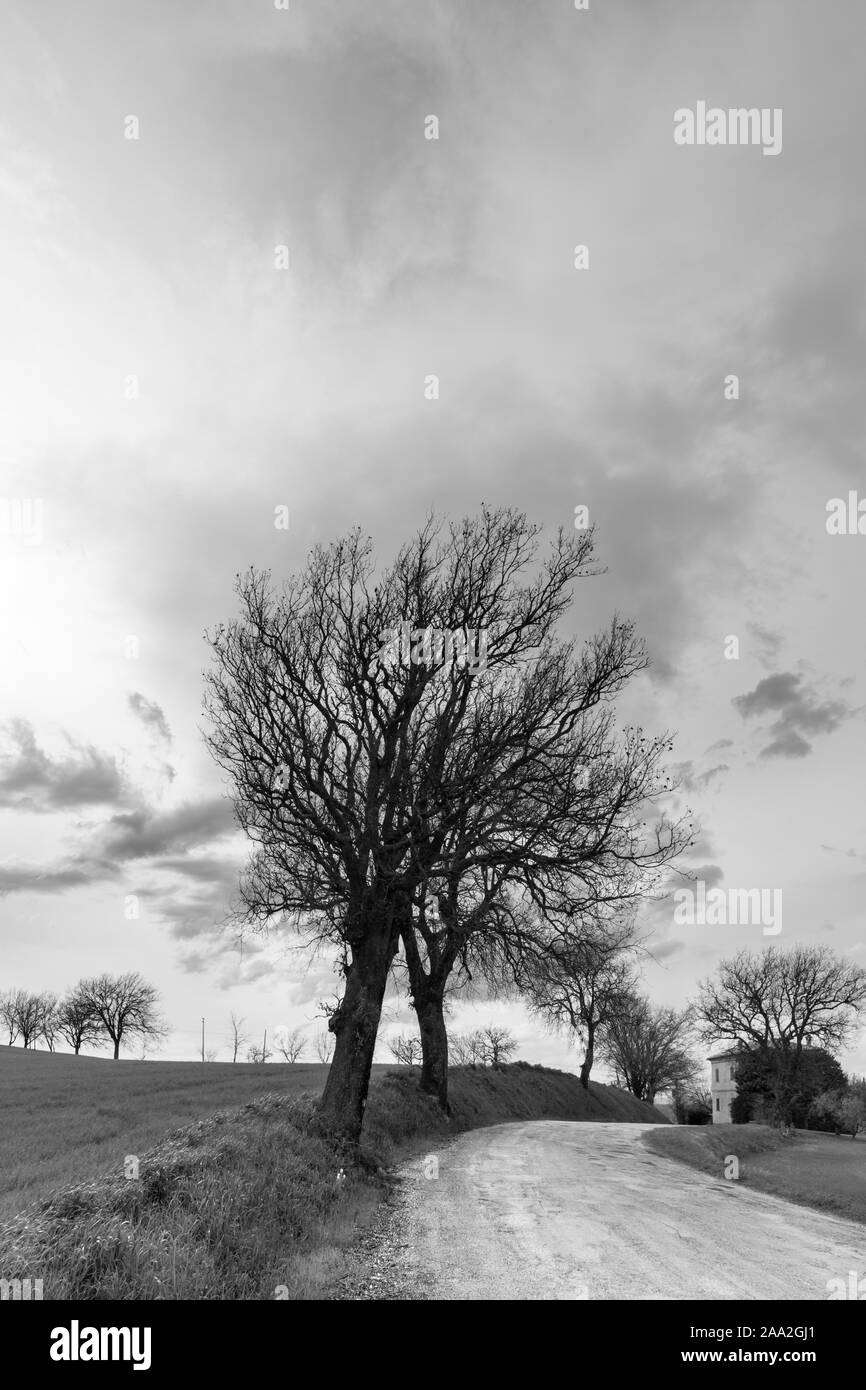 Rural landscape in black and white, country road and cloudy sky Stock ...