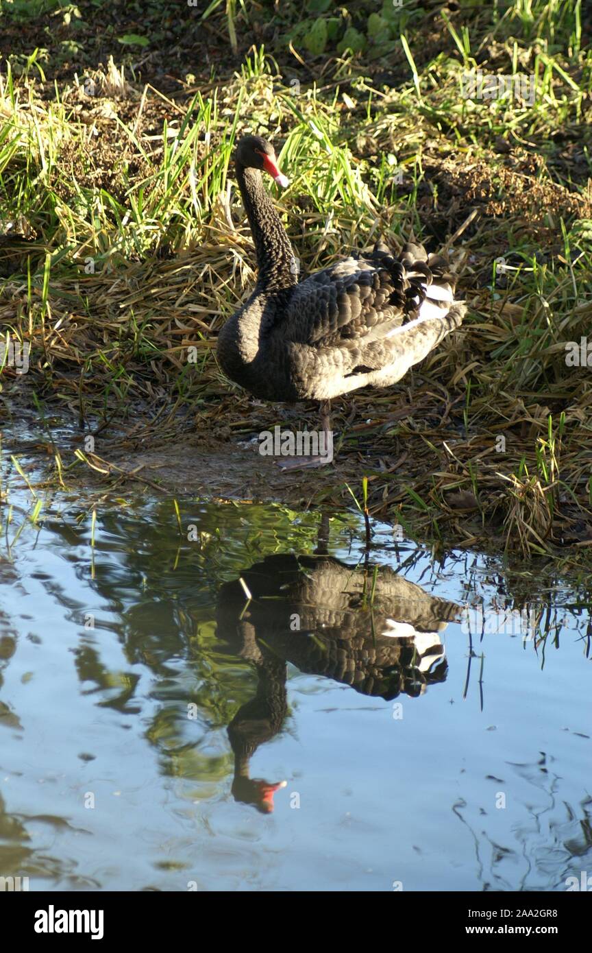 Waterways infrastructure hi-res stock photography and images - Alamy