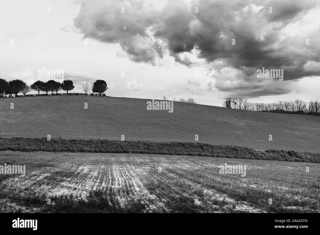 Rural landscape in black and white, fields and sky Stock Photo - Alamy