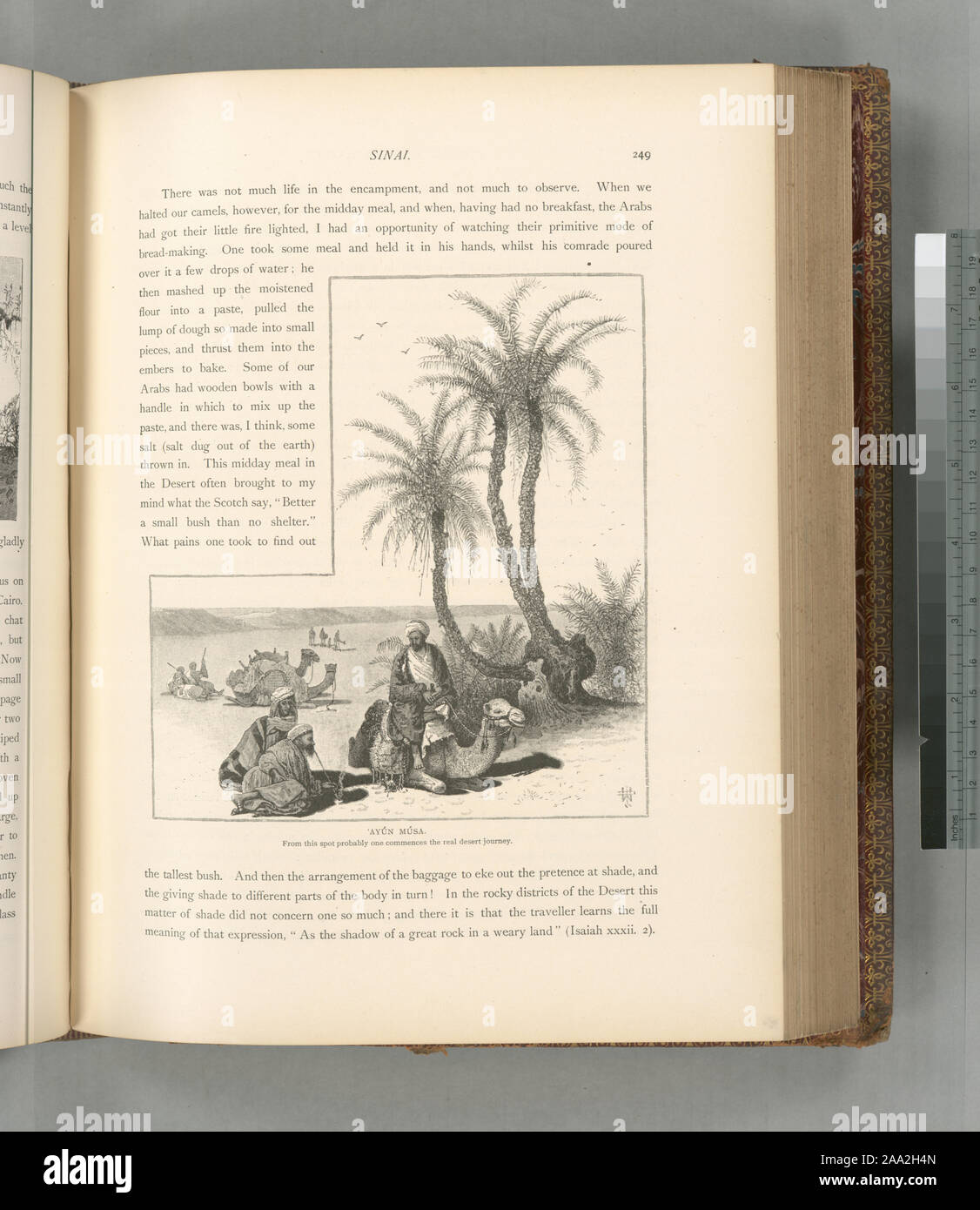 Colonel Wilson, ed.; 'Ayún Músa. From this spot one probably commences ...