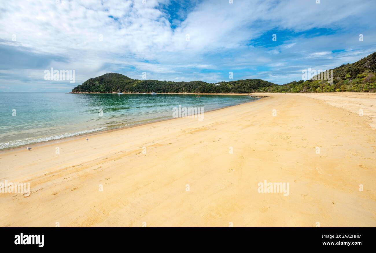 Long sandy beach Anchorage Bay, Abel Tasman National Park, Tasman, South Island, New Zealand ...
