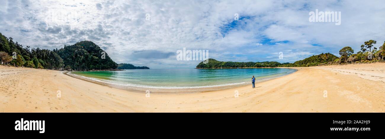 Long sandy beach Anchorage Bay, Panorama, Abel Tasman National Park, Tasman, South Island, New ...