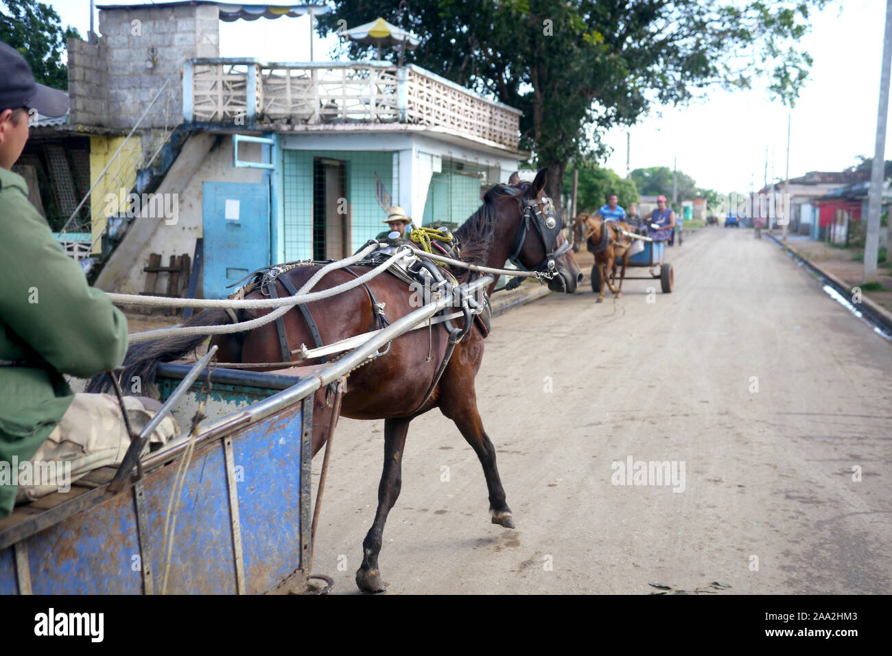 Donkey carts hi-res stock photography and images - Alamy