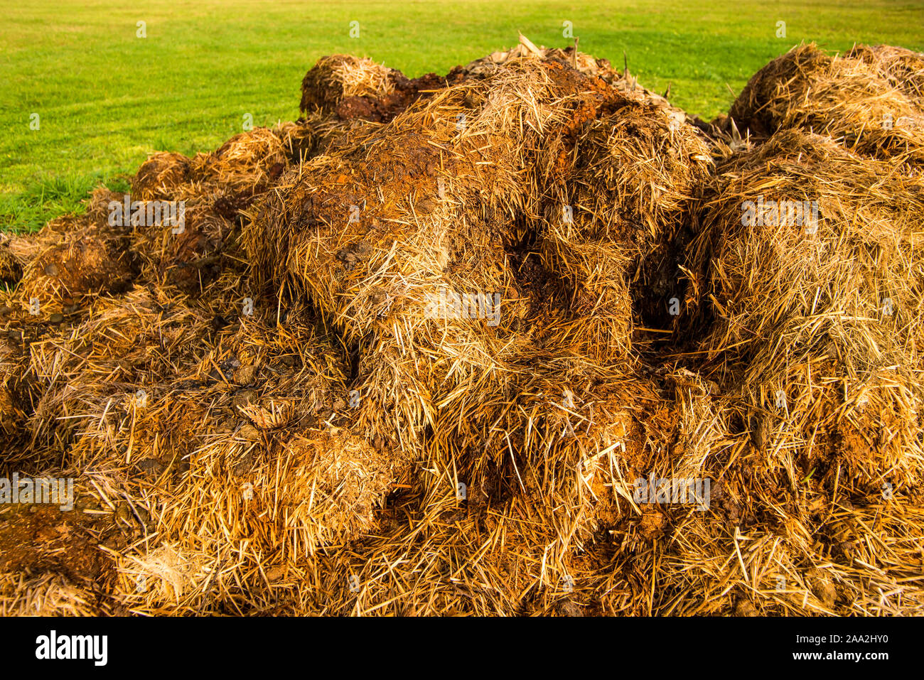 A dung hill hi-res stock photography and images - Alamy