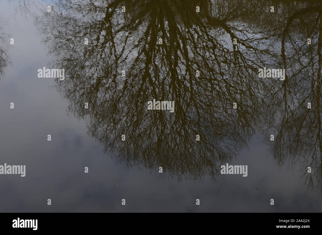 Abandoned unnavigable canal,canal restoration Stock Photo - Alamy