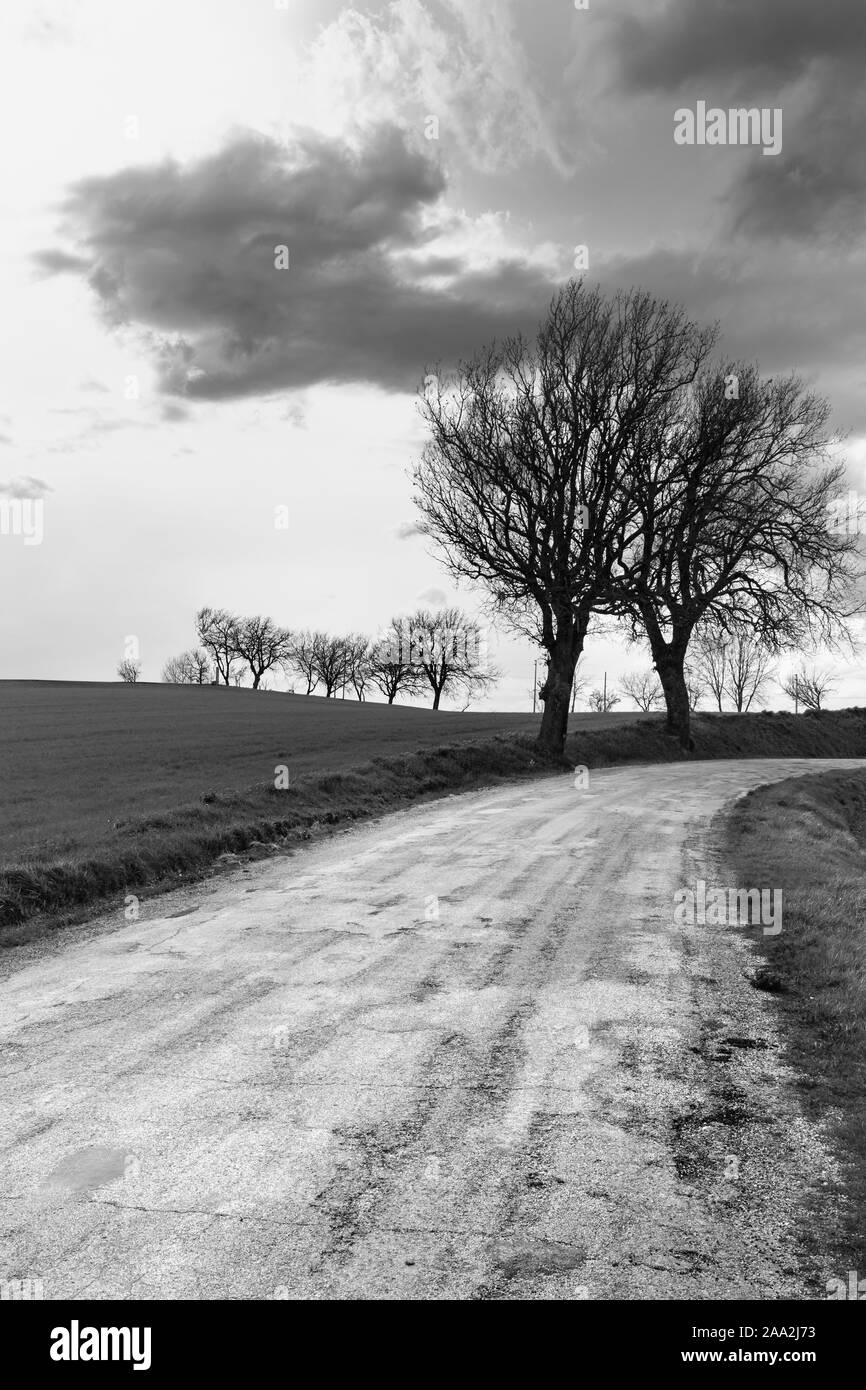 Rural landscape in black and white, country road and trees Stock Photo ...