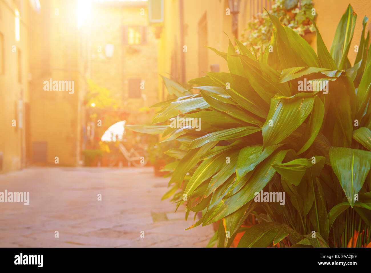 Street of Pienza Stock Photo - Alamy