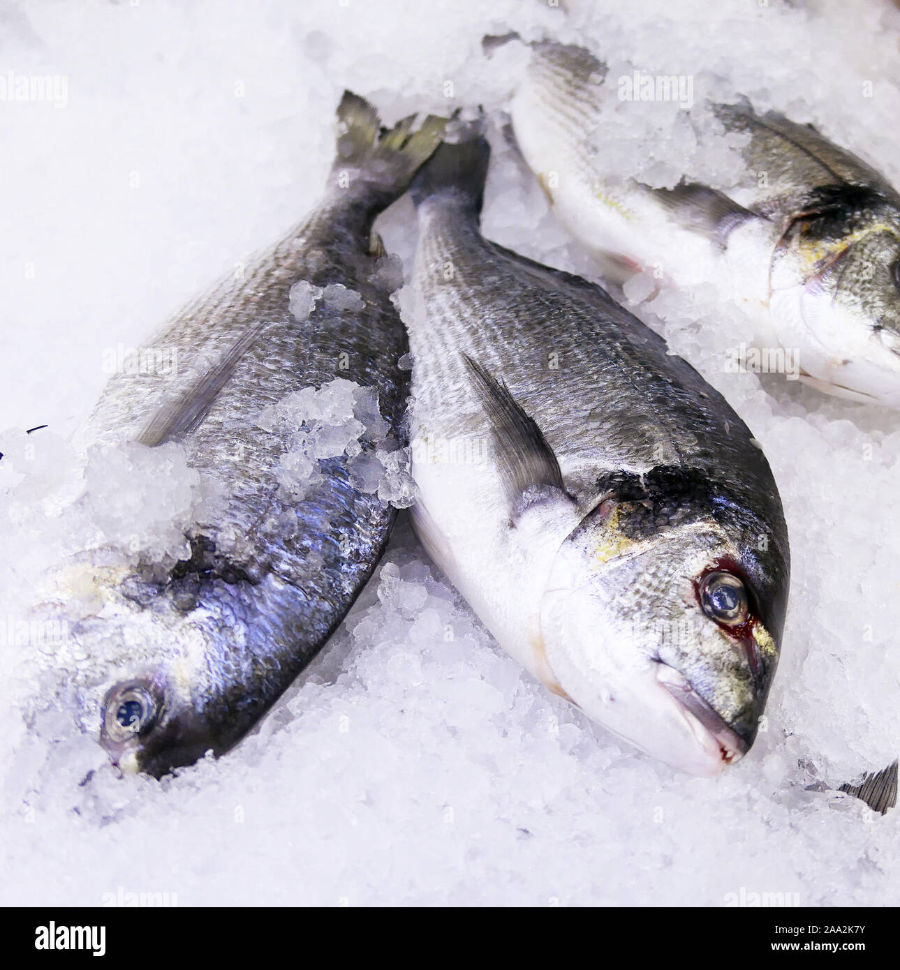 Fish arranged on ice hi-res stock photography and images - Alamy