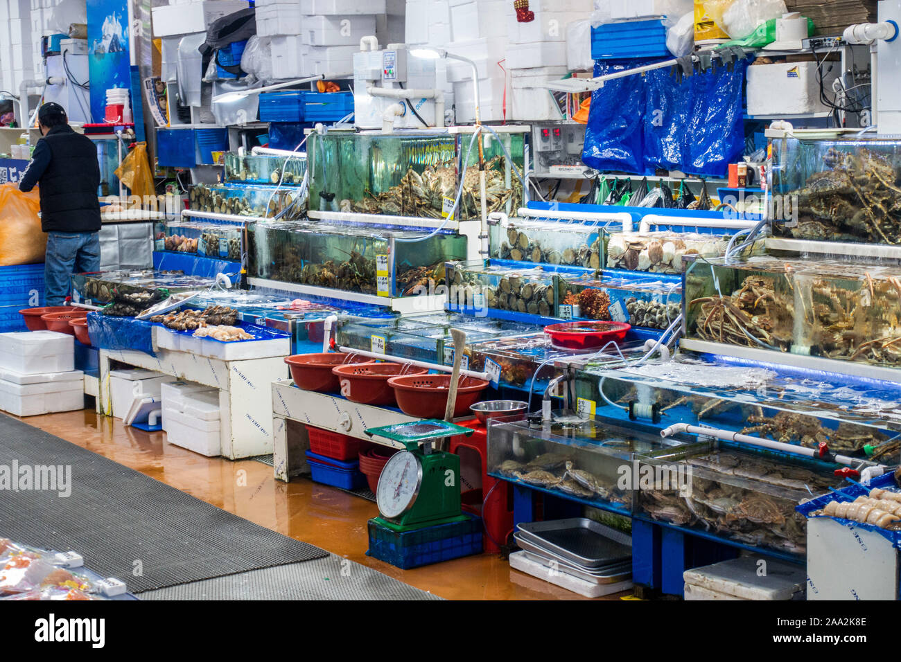 Seoul Noryangjin fish market Stock Photo - Alamy