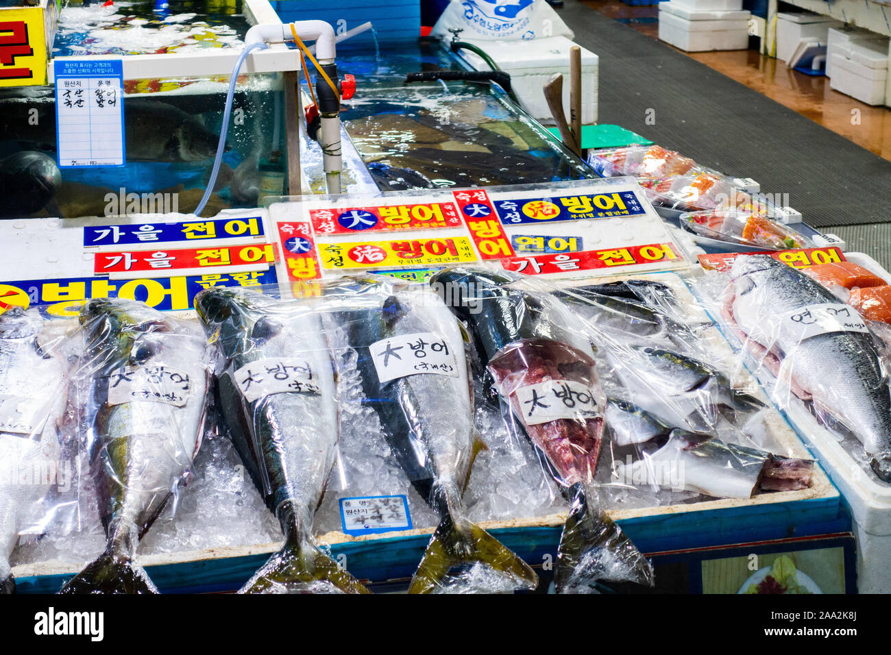 Seoul Noryangjin fish market Stock Photo - Alamy