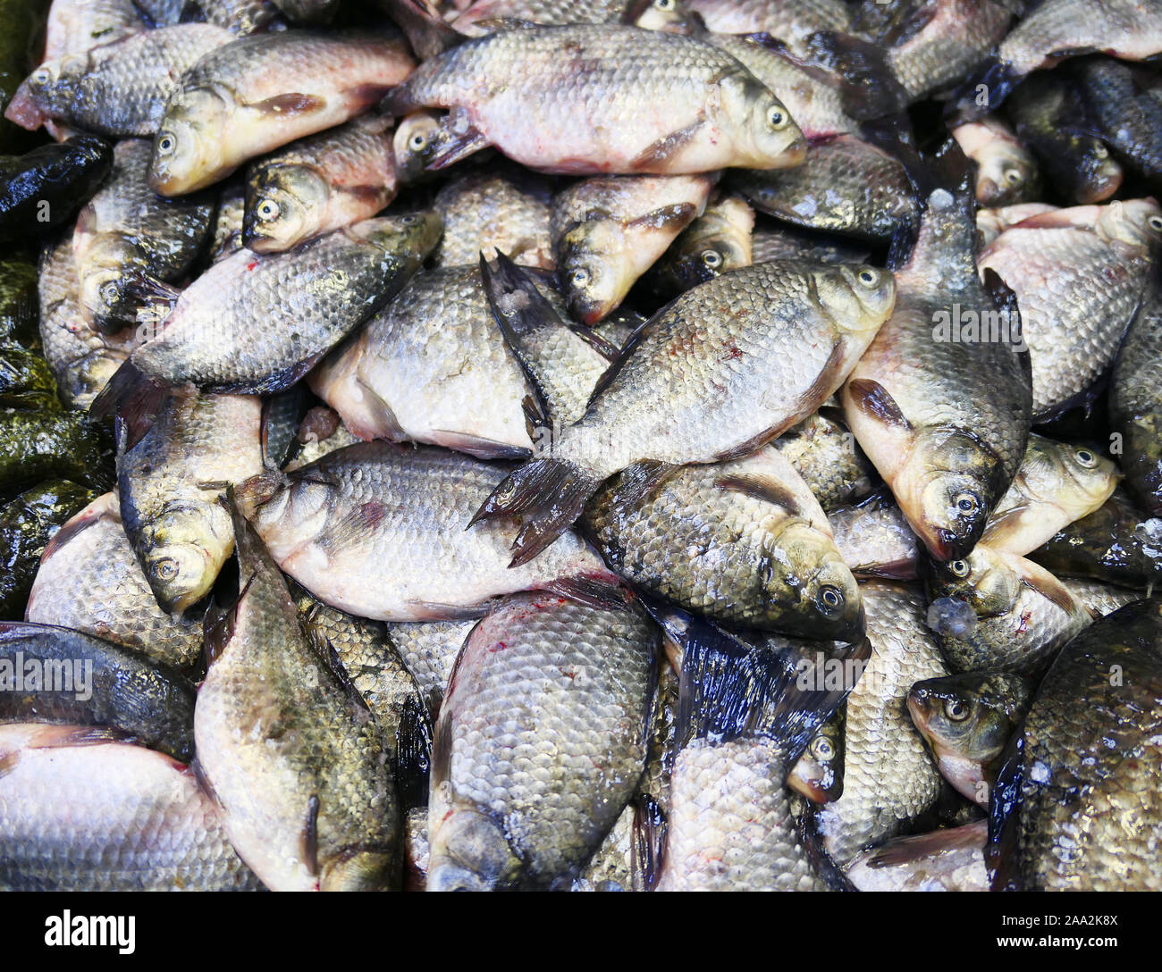 Pile of fresh fish in a market Stock Photo - Alamy