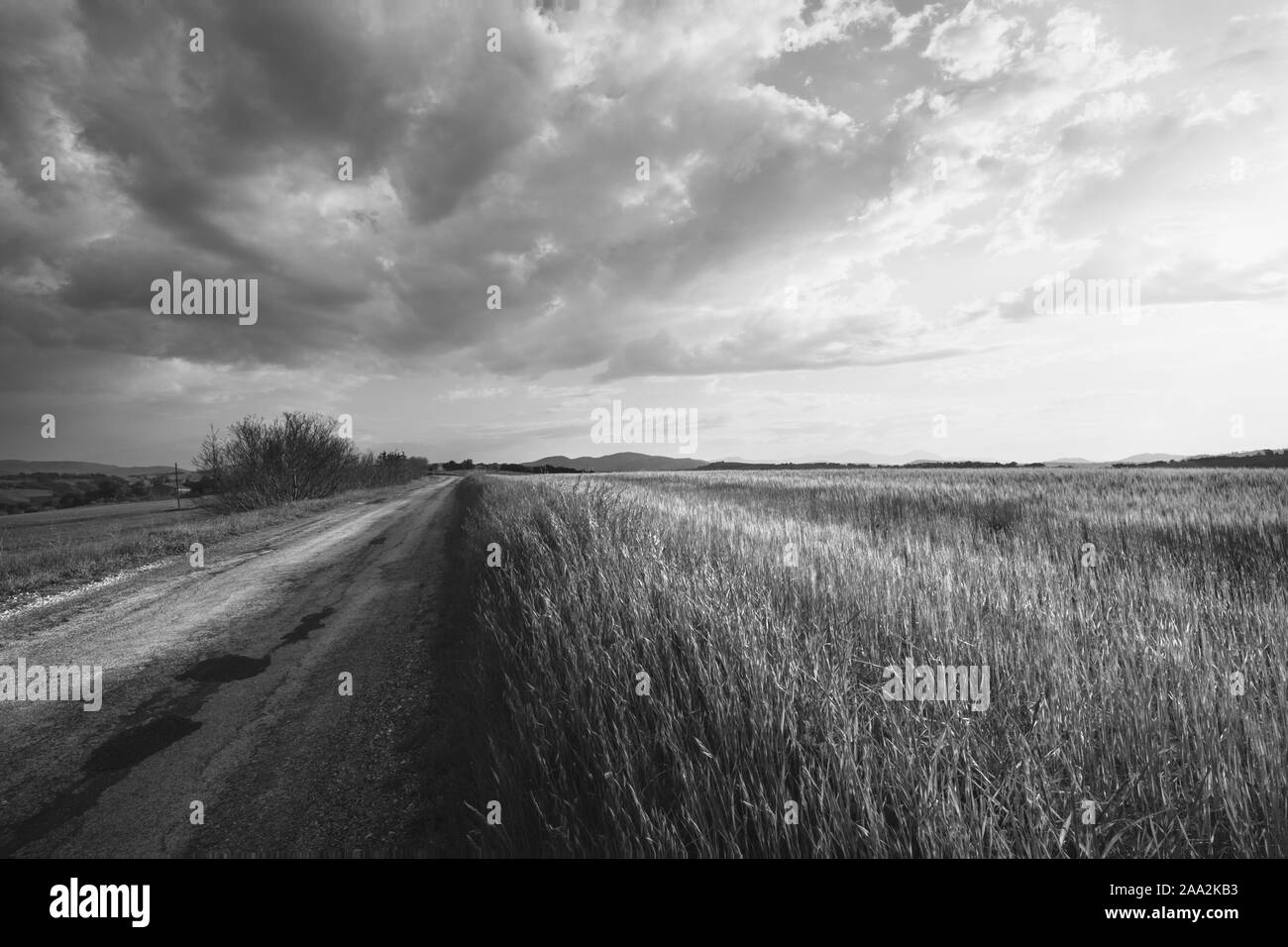 Rural landscape in black and white, country road and cloudy sky Stock ...