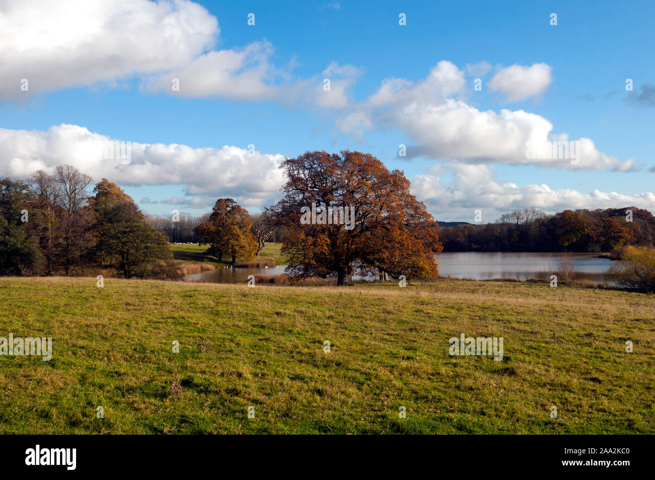 Northamptonshire landscape hi-res stock photography and images - Alamy