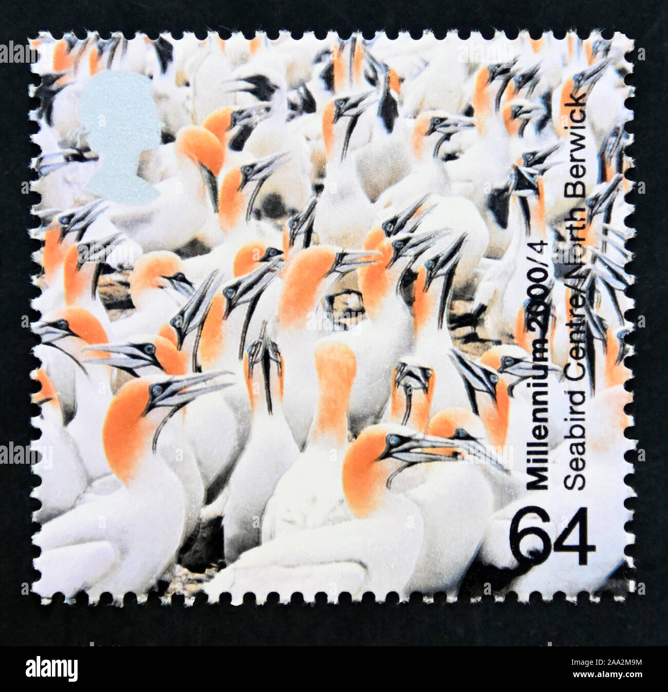 Postage stamp. Great Britain. Queen Elizabeth II. Millenium Projects ...