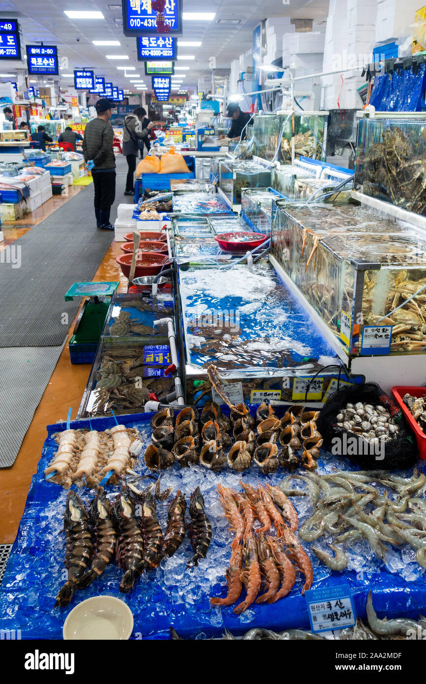 Seoul Noryangjin fish market Stock Photo - Alamy