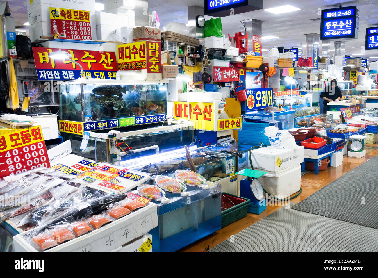 Seoul Noryangjin fish market Stock Photo - Alamy