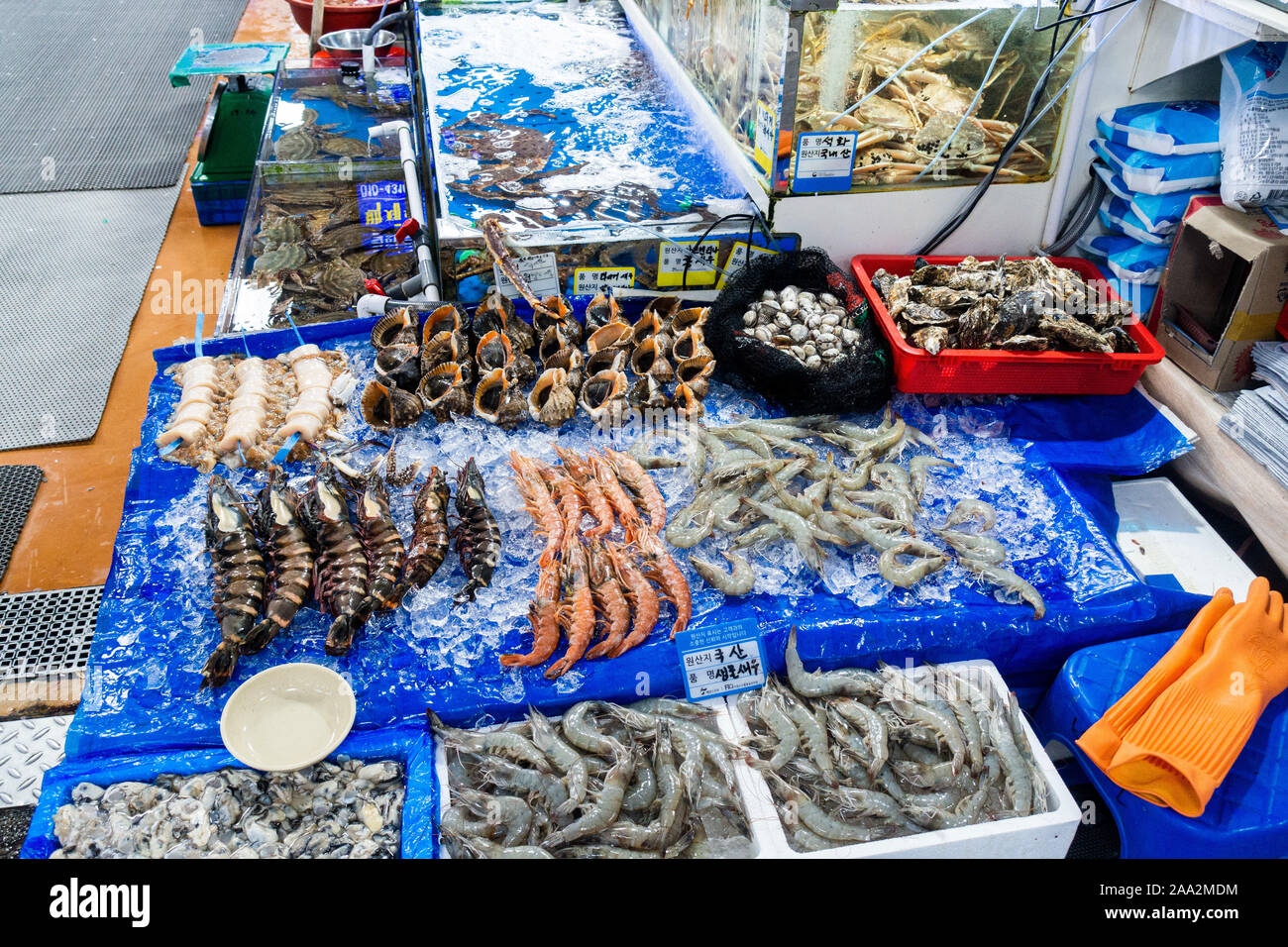 Seoul Noryangjin fish market Stock Photo - Alamy