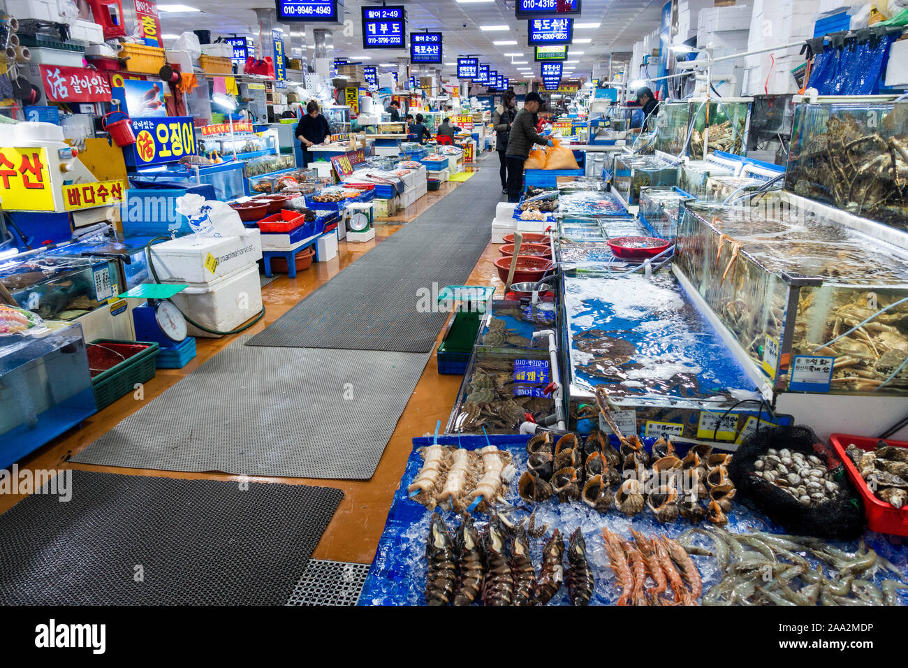 Seoul Noryangjin fish market Stock Photo - Alamy