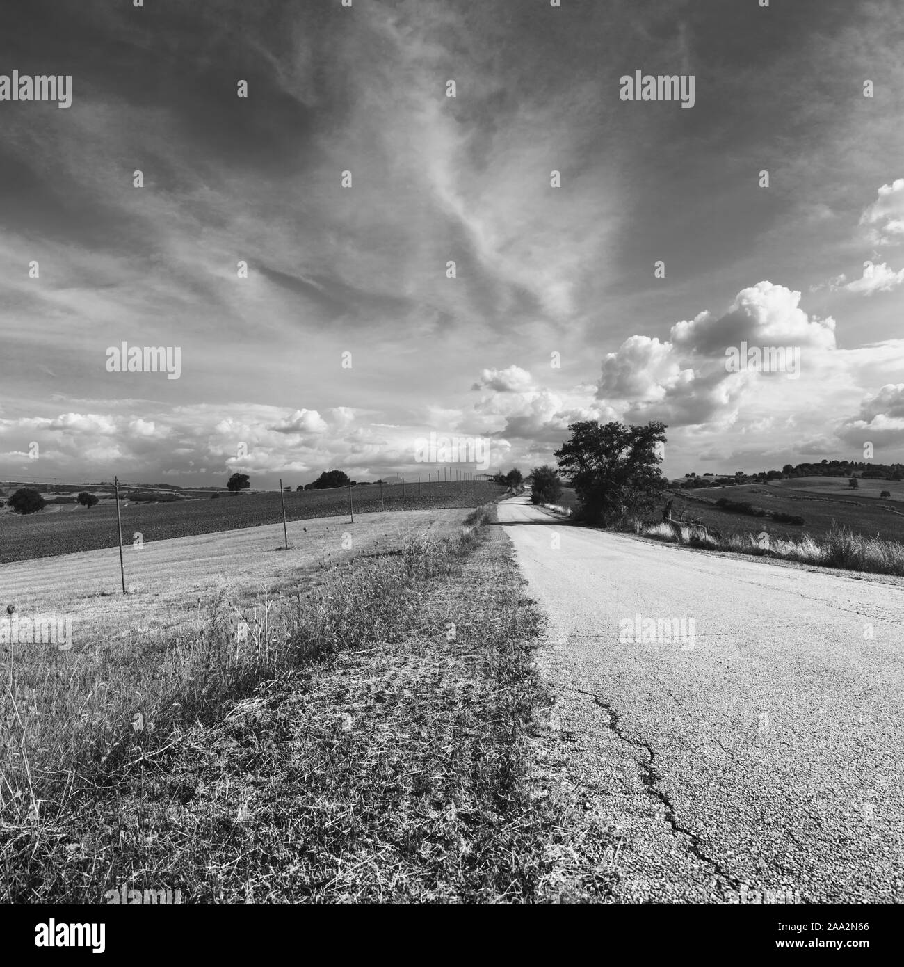 Rural landscape in black and white, country road Stock Photo - Alamy