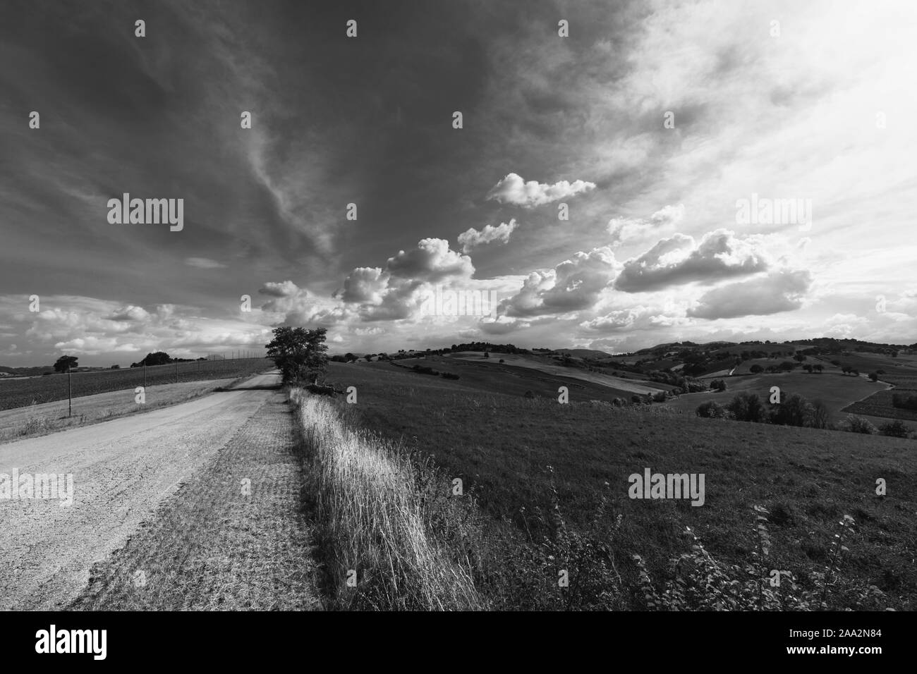 Rural landscape in black and white, country road Stock Photo - Alamy