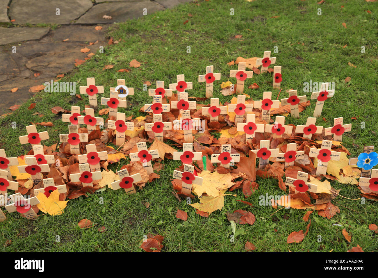 Small remembrance crosses placed in the grounds of Worcester cathedral ...