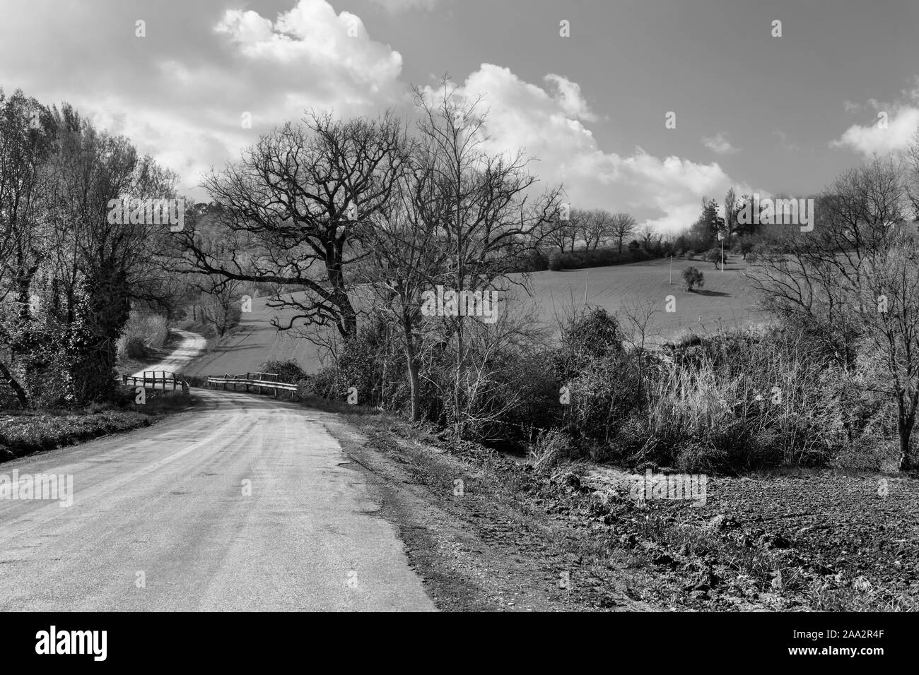 Rural landscape in black and white, country road and trees Stock Photo ...